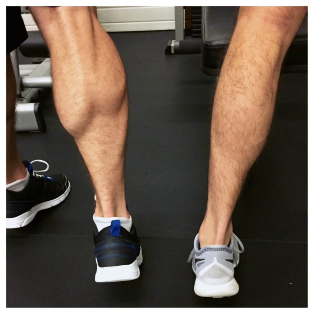 Muscle Growth Genetics Applied Fitness Solutions